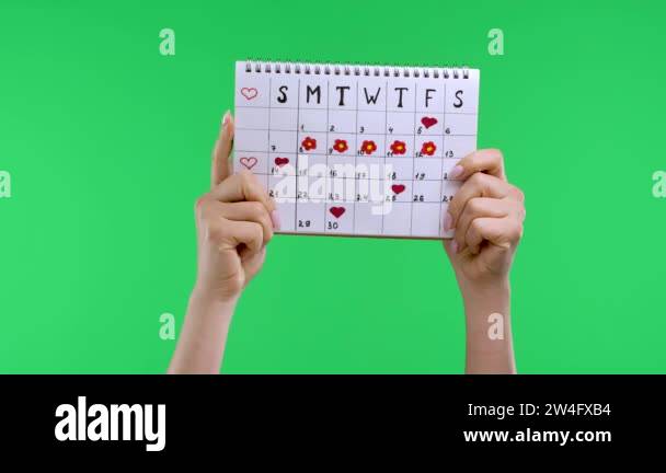Female hands hold a womans periods calendar, isolated on studio green ...