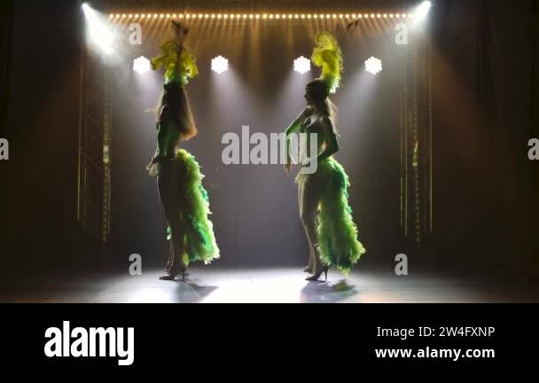 Silhouettes of female dancers in exotic Brazilian carnival costumes ...