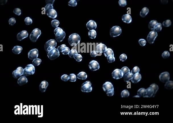 Flying many water drops on black background. Pure droplets. Transparent ...