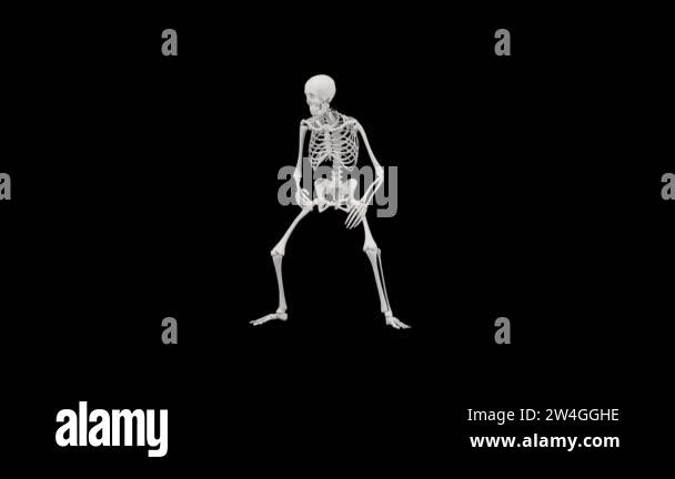 Skeleton alert idle position or stance - 4k 3D seamless animation of a ...