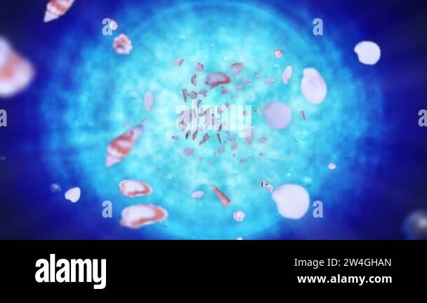 Flying many sea shells in blue water. Collection of realistic shellfish ...