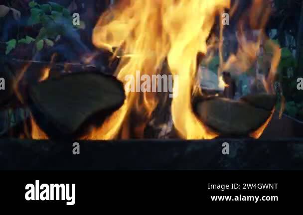 Flame fire burning in grill Stock Videos & Footage - HD and 4K Video ...