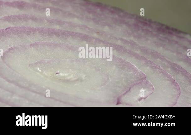 Red onion vegetable background in Stock Videos & Footage - HD and 4K ...
