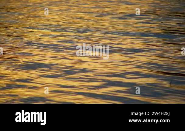 Gold Water surface texture, Slow motion ripples and wave, sun shine ...