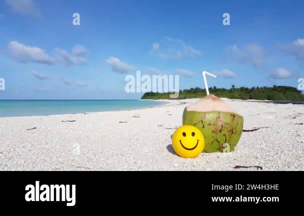 Smiley on the beach Stock Videos & Footage - HD and 4K Video Clips - Alamy