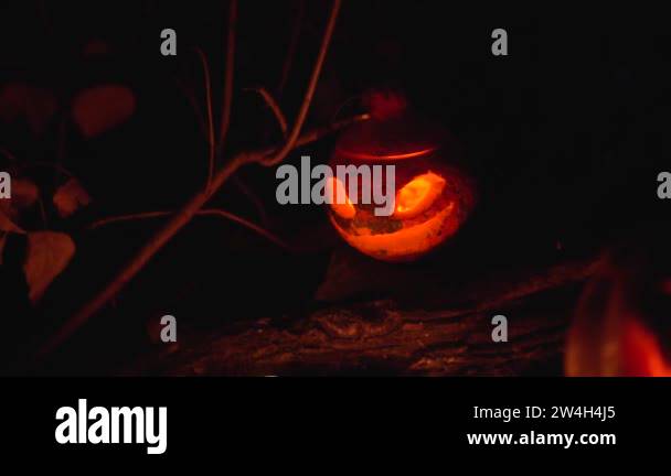 Tree mouth face eyes Stock Videos & Footage - HD and 4K Video Clips - Alamy