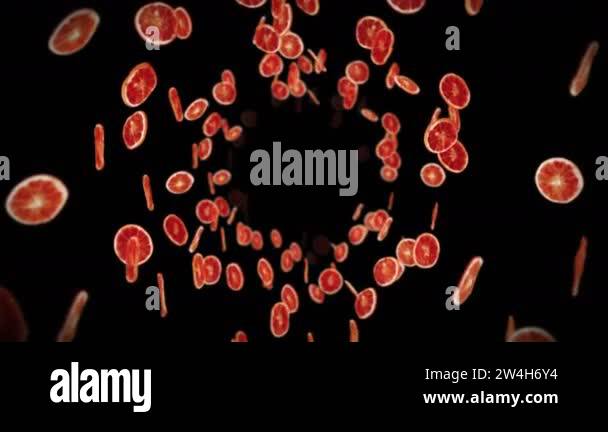 Flying many dried oranges on black background. Dehydrated fruits, Food ...