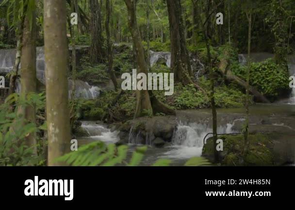 Cascade flows through the rock among green plants during rainy season ...