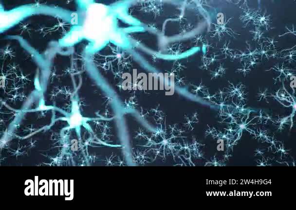 Animation neurons in the brain.Synapse and Neuron cells sending electrical chemical signals ...