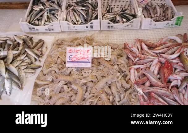 Mackerel fish sicily italy Stock Videos & Footage - HD and 4K Video ...