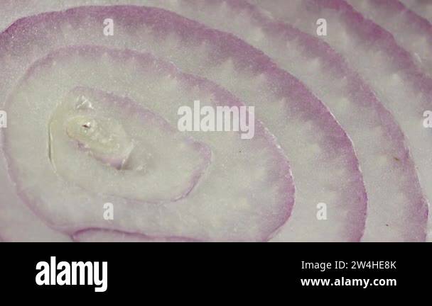 Sliced red onion rings rotating in 4K. Closeup top view of healthy food ...
