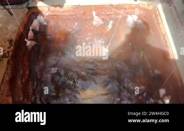 hot spring boiling water natural resource at Himalayas clip is shot at ...