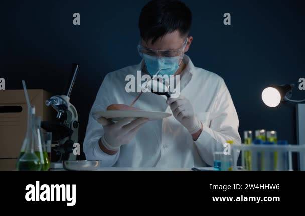 Laboratory assistant with magnifying glass examining raw meat ...
