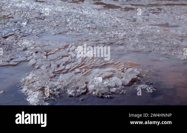 The bottom of a dying estuary, lake. Self-precipitating salt covers ...