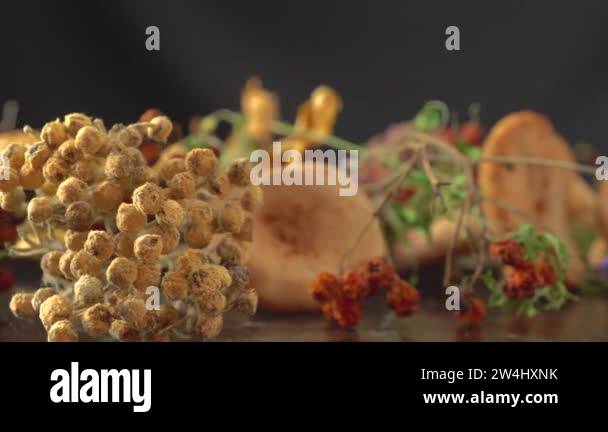 Edible ash Stock Videos & Footage - HD and 4K Video Clips - Alamy