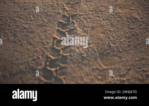 Bike treads Stock Videos & Footage - HD and 4K Video Clips - Alamy