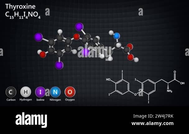 Thyroid structure Stock Videos & Footage - HD and 4K Video Clips - Alamy