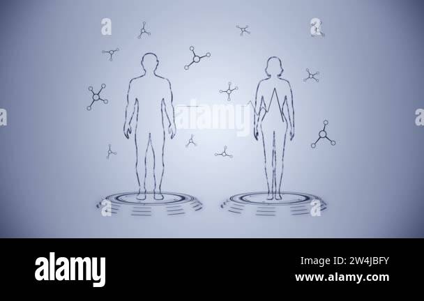 Man and woman virtual body. Human medical hologram animation. Digital ...