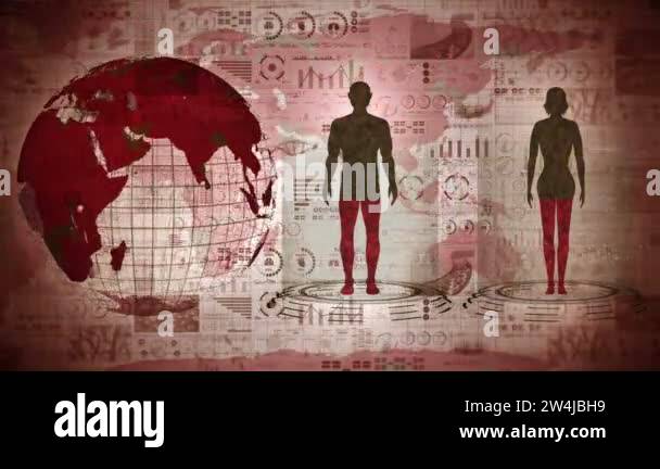 Human and Earth. Medical hologram loop animation. People virtual body ...