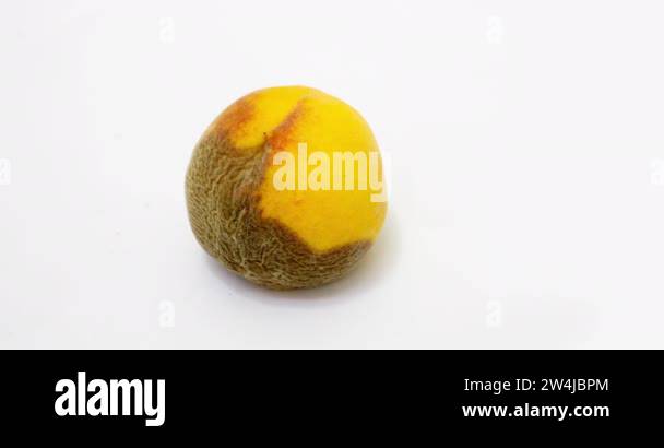 Time lapse of peach rotting on a white background, the process of ...