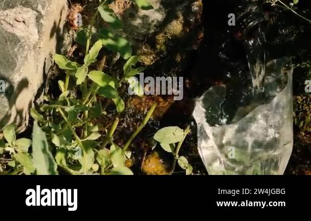 Mountain spring. A tube is inserted into the crevice between the stones ...