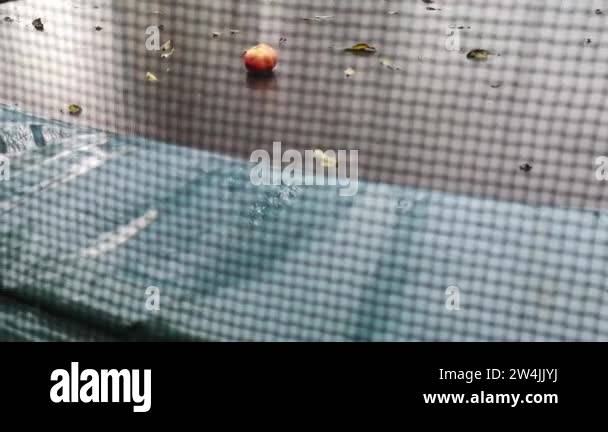 Trampoline texture Stock Videos & Footage - HD and 4K Video Clips - Alamy