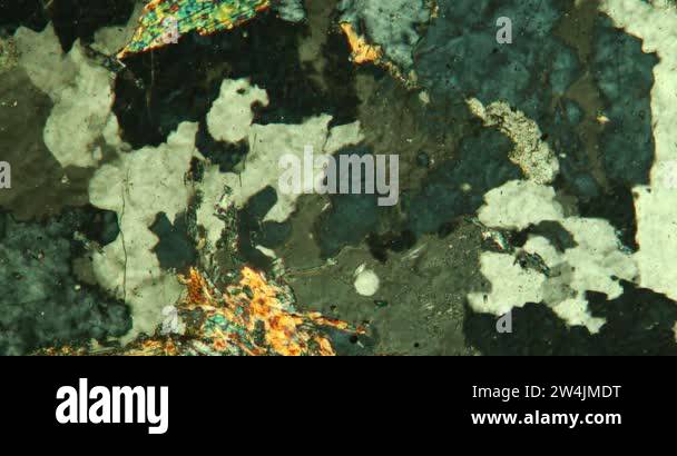 Gneiss thin section of stone under the microscope in polarized light ...