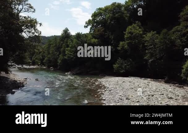 Aerial pine trees river rocks Stock Videos & Footage - HD and 4K Video ...