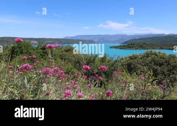 Cross of provence Stock Videos & Footage - HD and 4K Video Clips - Alamy
