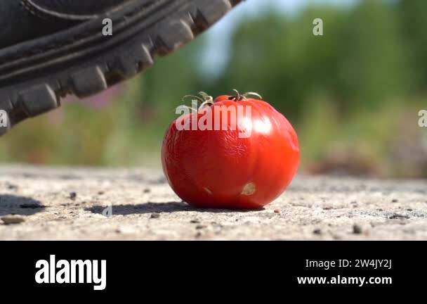 Crushed by a foot Stock Videos & Footage - HD and 4K Video Clips - Alamy