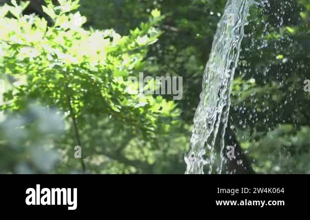 Summer flow and environment Stock Videos & Footage - HD and 4K Video ...
