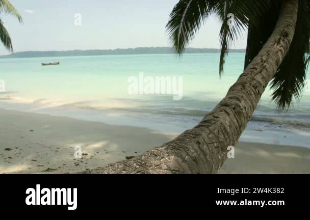 Tropical beach coconut tree boat Stock Videos & Footage - HD and 4K ...