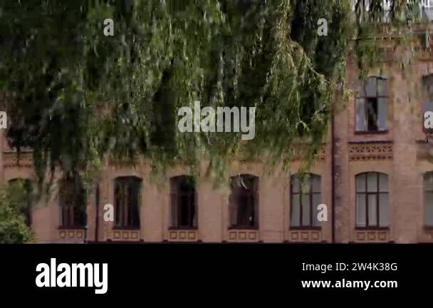 Beautiful university building and tree branches Stock Videos & Footage ...