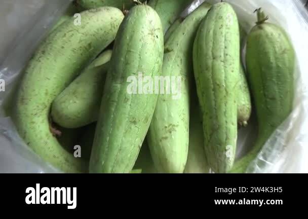 Edible gourds Stock Videos & Footage - HD and 4K Video Clips - Alamy