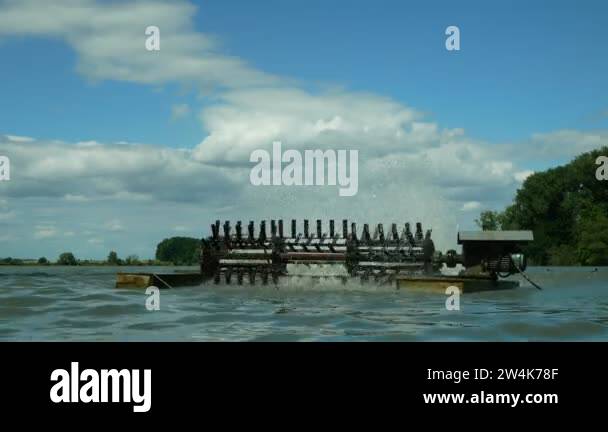 Drought fish Stock Videos & Footage - HD and 4K Video Clips - Alamy