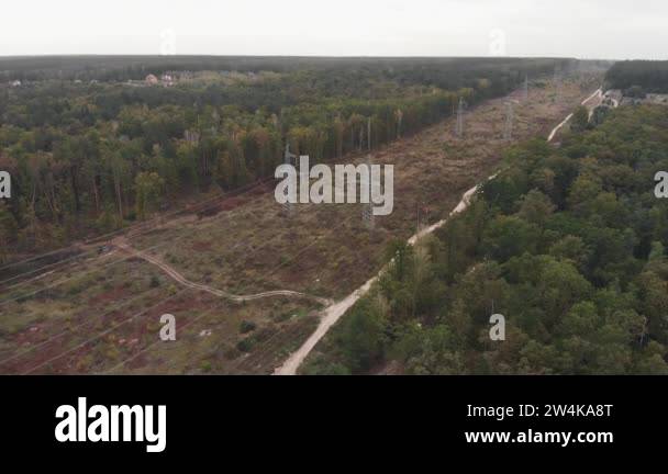 High voltage electric towers in forest. Transmission power lines. High ...