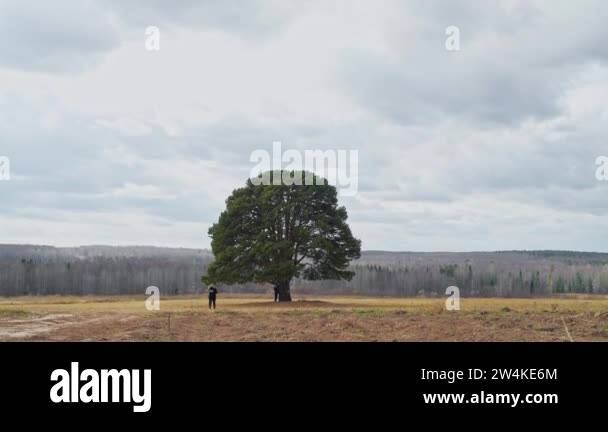 Two middle figures Stock Videos & Footage - HD and 4K Video Clips - Alamy
