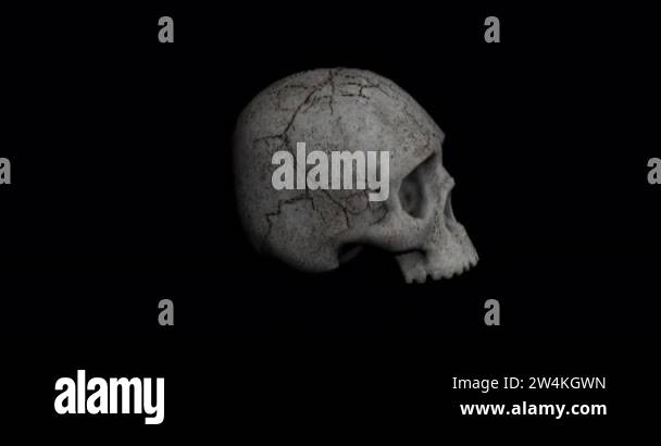 Creepy teeth Stock Videos & Footage - HD and 4K Video Clips - Alamy