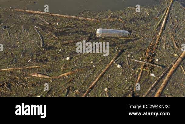 Unclean environment Stock Videos & Footage - HD and 4K Video Clips - Alamy