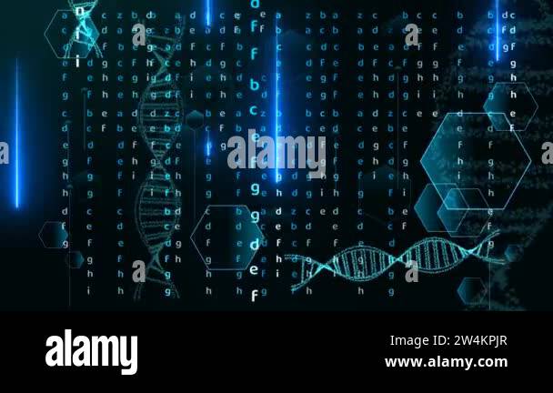 Dna alphabet Stock Videos & Footage - HD and 4K Video Clips - Alamy