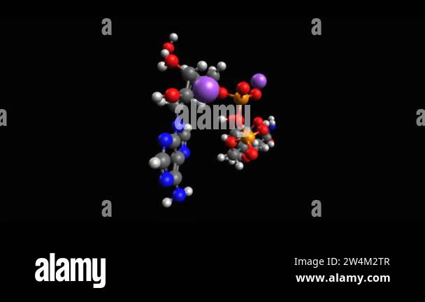 Animated skeletal 3D model of nicotinamide dinucleotide (NADH) reduced ...
