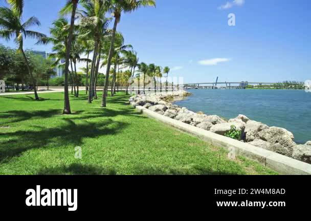 Bayfront park miami water Stock Videos & Footage - HD and 4K Video ...