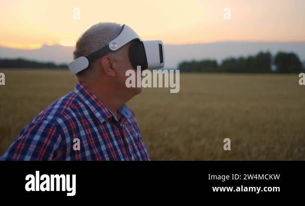 Stand at sunset in a VR helmet and inspect the wheat field. A farmer ...