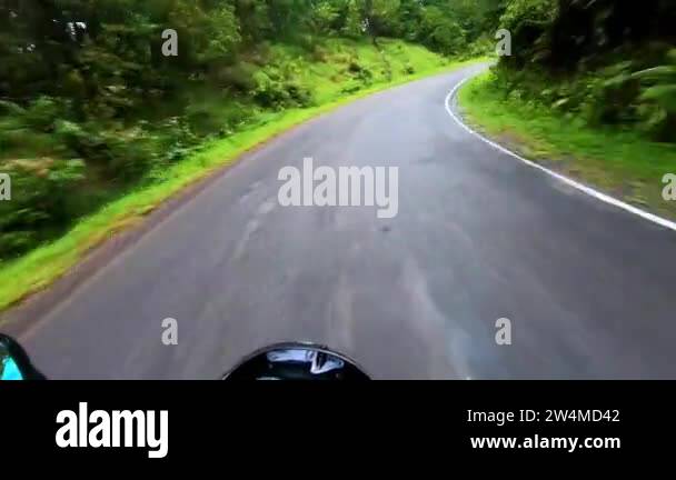 tarmac road covered with dense green forest isolated image is showing ... tarmac road covered with dense green forest isolated image is showing ...