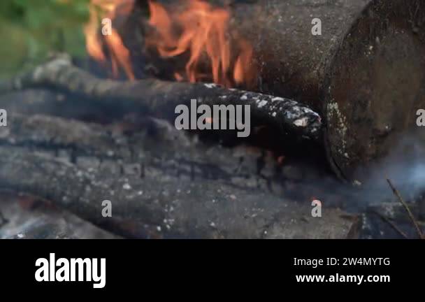 Motion of fire. Orange twisting tongues of fire. Wooden logs in flame ...