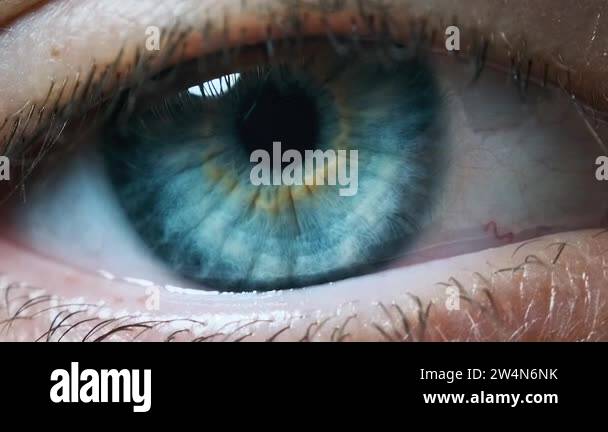 Beautiful Blue Woman Eye, Extreme Close-up. Sight. Detail View Young ...