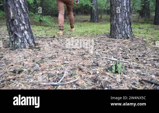 Step on leaves Stock Videos & Footage - HD and 4K Video Clips - Alamy