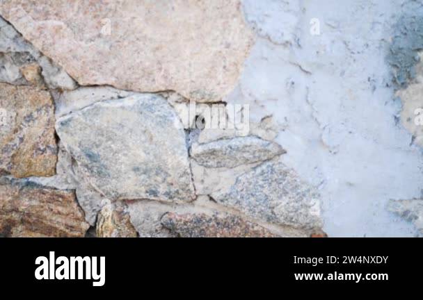 Texture of old stones of various forms with seams. Close up of shabby ...