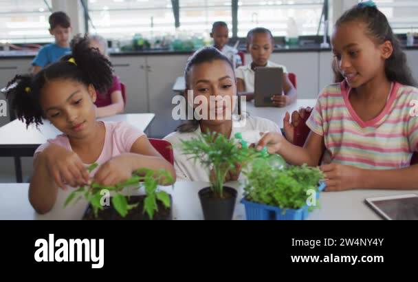 Children in group learning plants Stock Videos & Footage - HD and 4K ...
