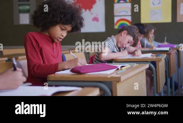 Education school children mixed Stock Videos & Footage - HD and 4K ...
